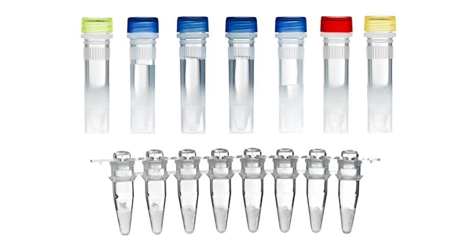 TwistAmp® Basic - Biolinkk