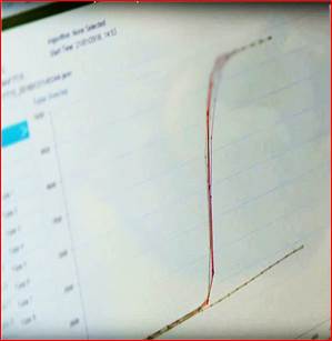 TwistAmp® exo positive control oligo mix - Biolinkk