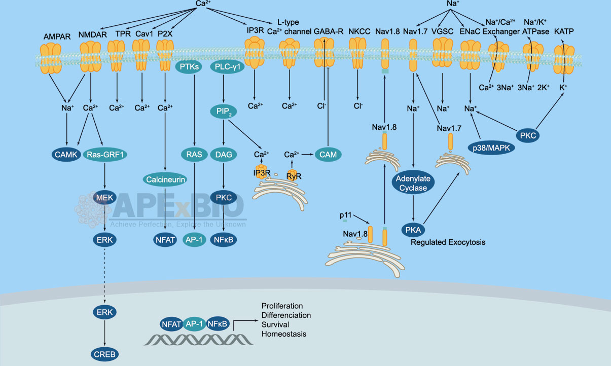 Biolinkk | Innovation To Support Science ...